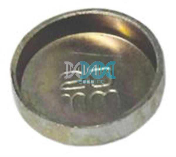 Zinc Plated Welch Plug- Size: 20mm | Neodo-Inc